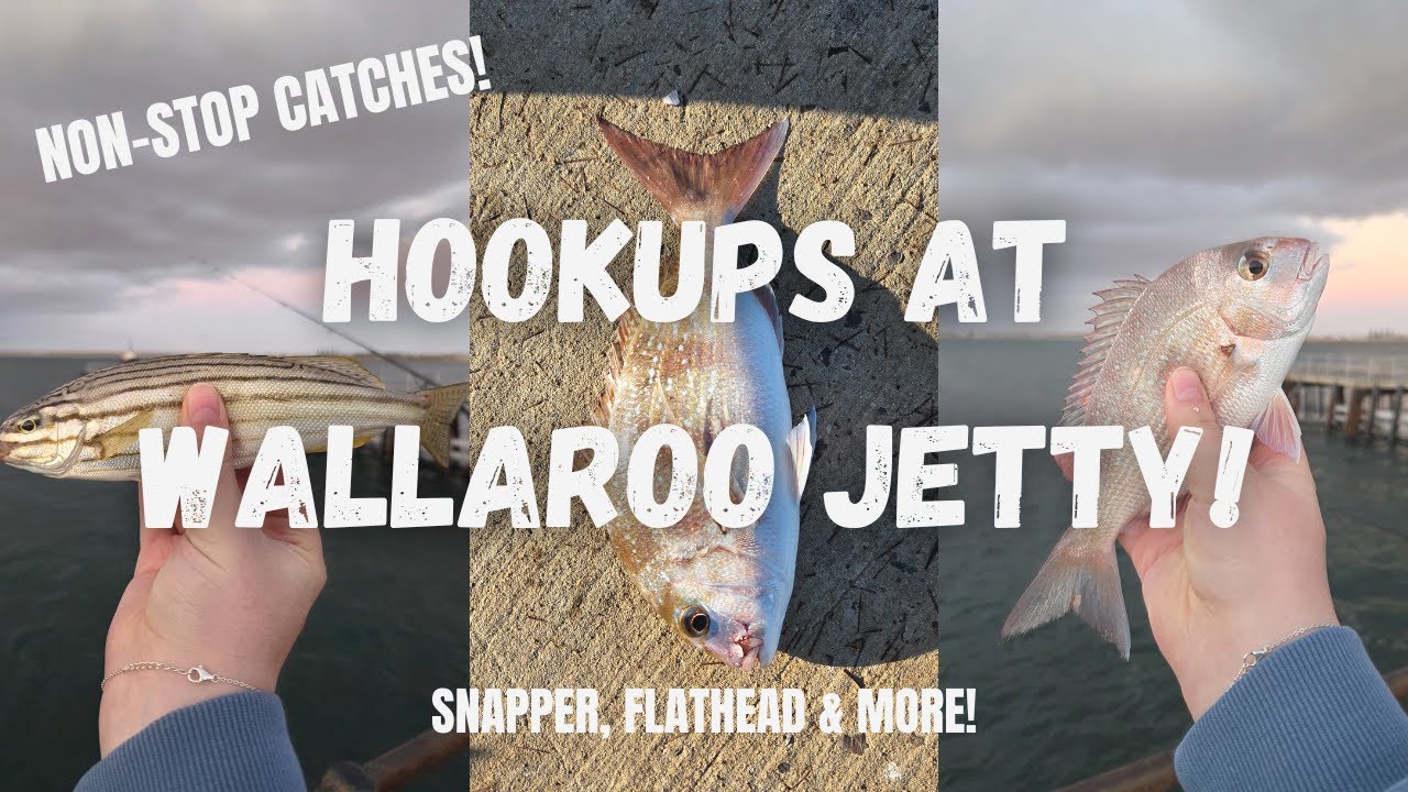 NON-STOP Hookups Jetty Fishing. Snapper, Flathead & More! - YouTube
