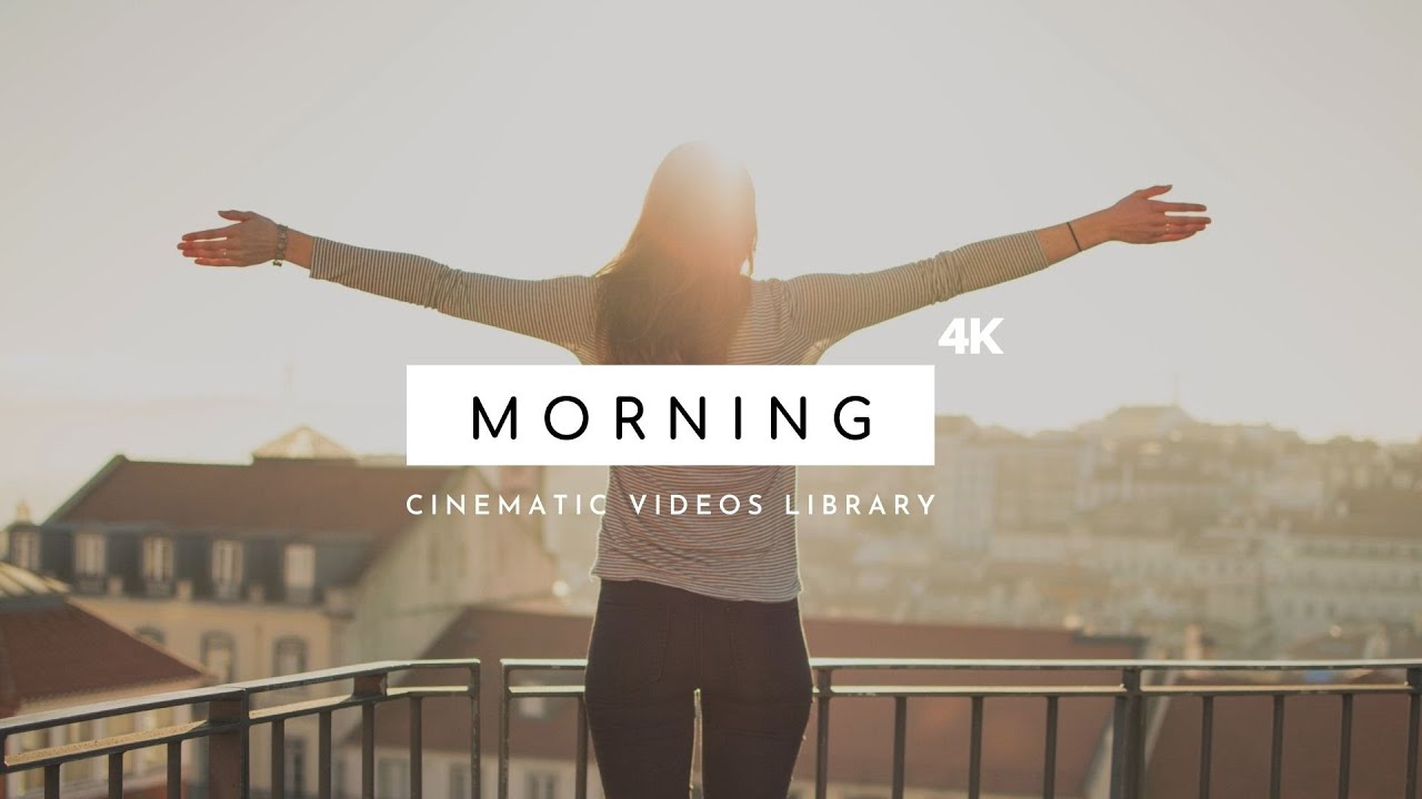 Morning - Cinematic Videos 4K | Free Morning Footage Stock - YouTube