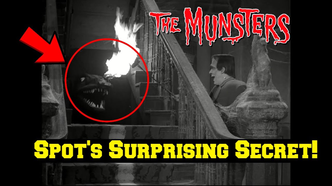 The Munsters | Revealed: What You Never Knew About SPOT! - YouTube