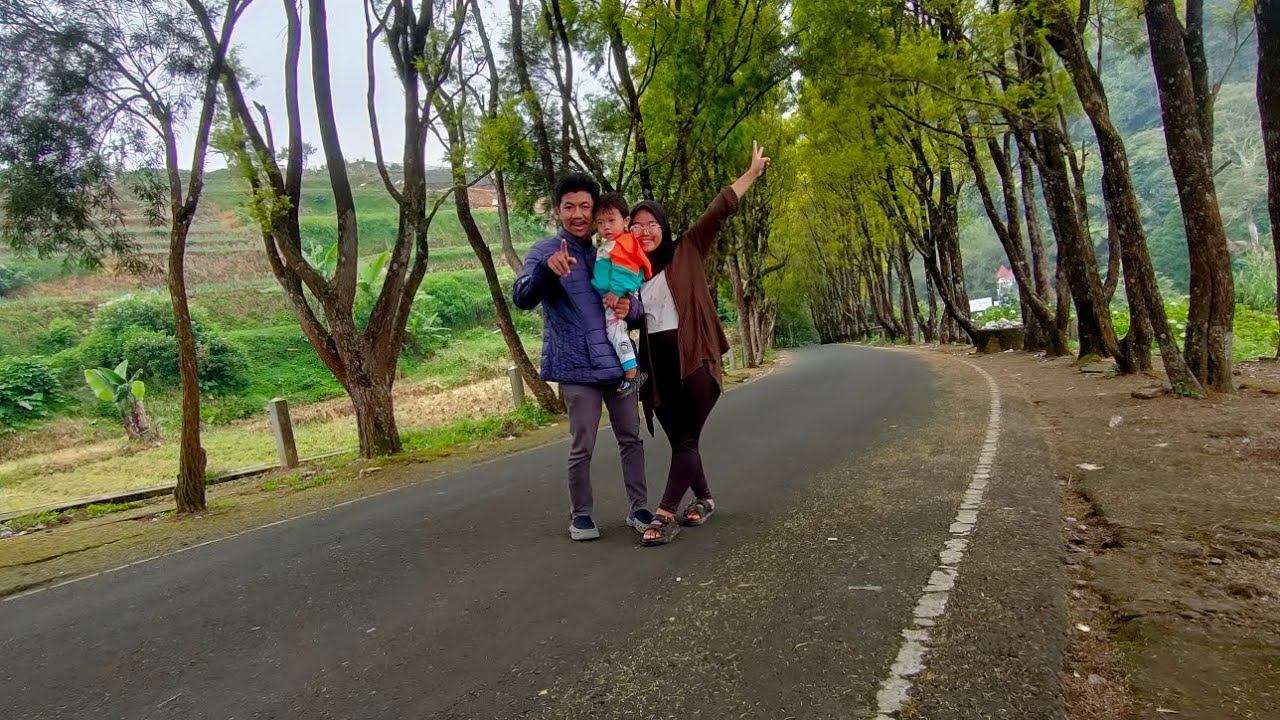 Wisata di Cianjur (Gn. Gede Pangrango via putri) - YouTube