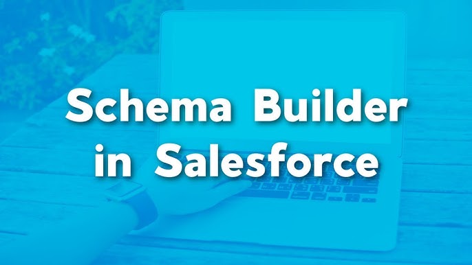 Salesforce Database Schema