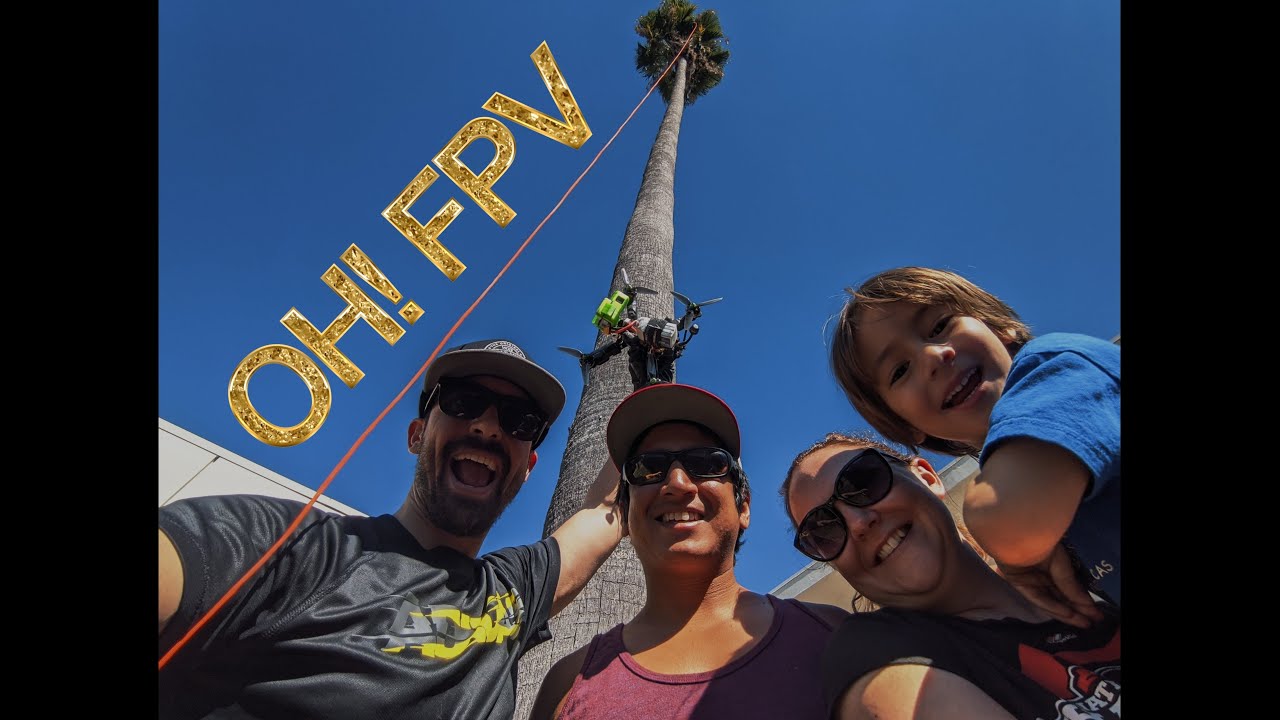 Palm Tree Rescue - YouTube