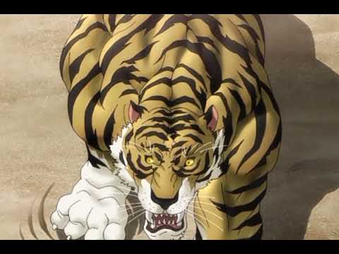 pickle vs Tiger ( amv ) son of ogre season 2