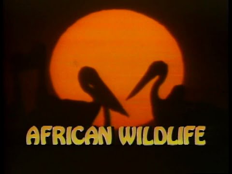 National Geographic Video: African Wildlife (1986)