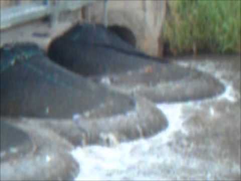 Ecosol Net Tech Operation.wmv - YouTube