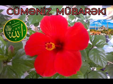 GÖZƏL AZAN SƏSİ. CÜMƏNİZ MÜBARƏK!
