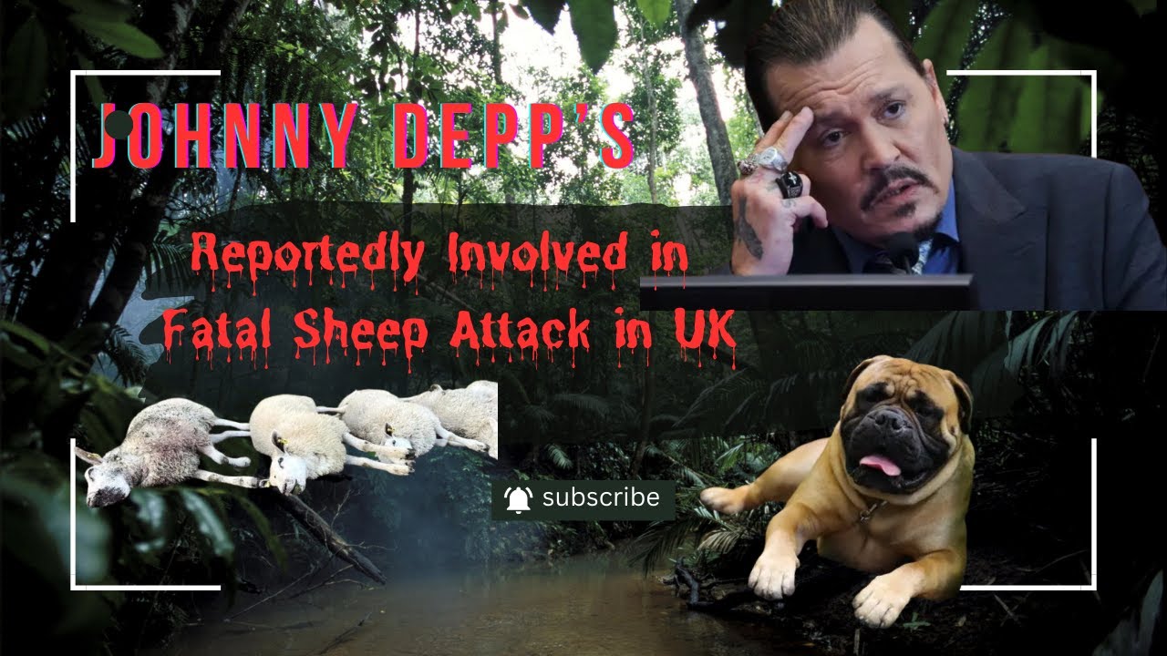 "Johnny Depp’s New Dog Reportedly Involved in Fatal Sheep Attack in UK ...