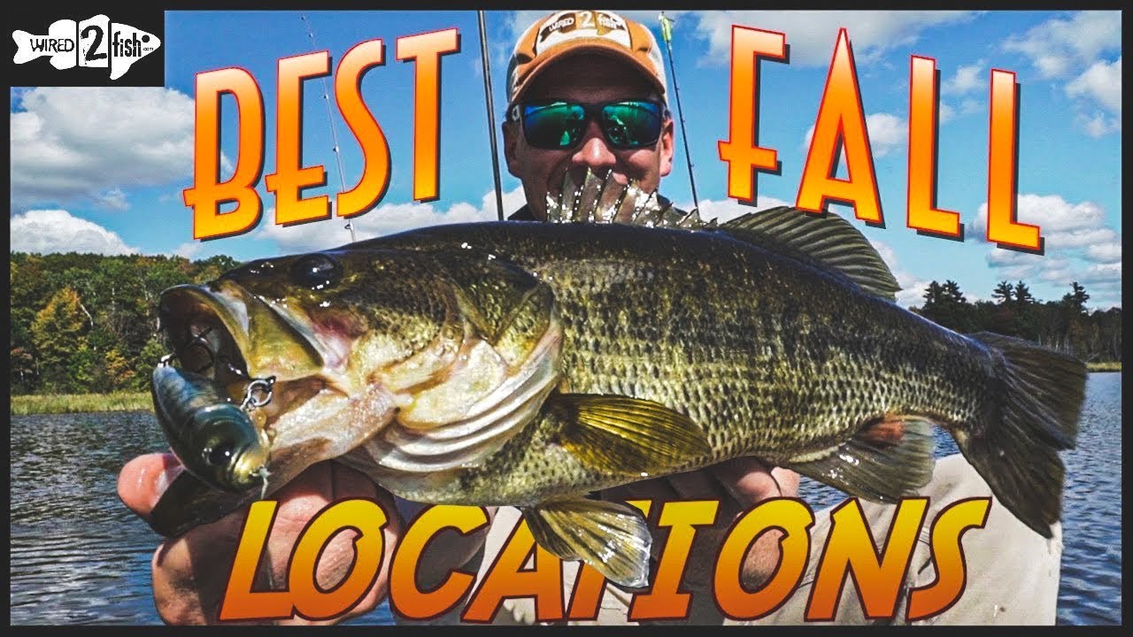 Fall Topwater Bass | When and Where to Fish Shallow - YouTube