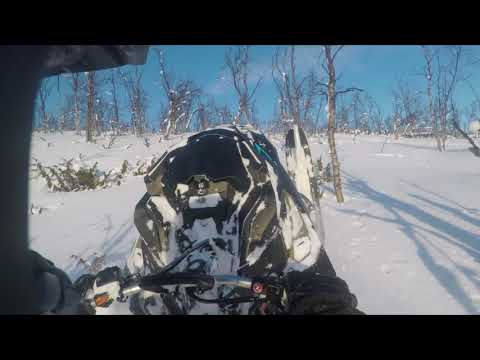 Lynx Boondocker 850 ds 2018