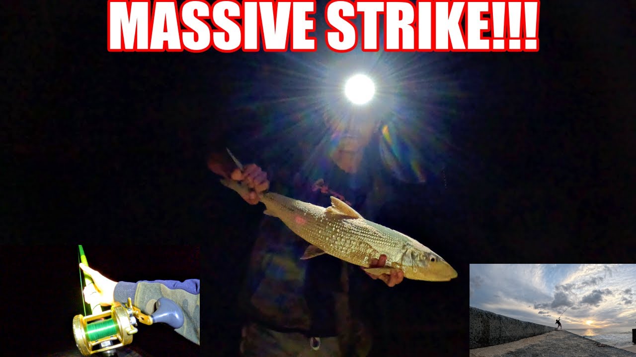 |FIRST ULUA FISHING VLOG| MASSIVE STRIKE| BONUS OIO| GET READY WITH ME ...