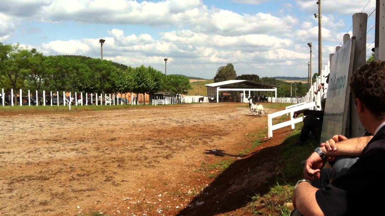 everton rodrigues - YouTube