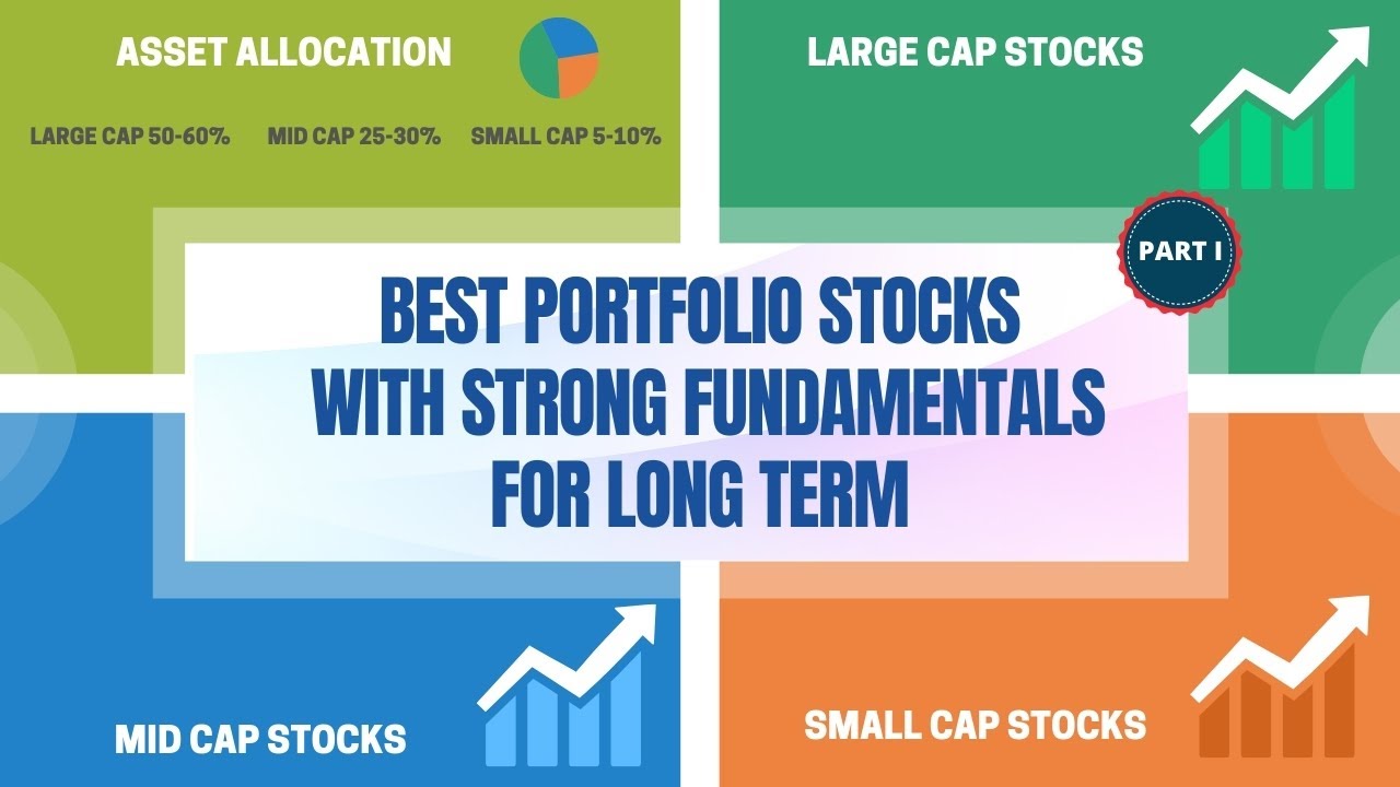 Best Portfolio Stocks | Large Cap Stocks for Long Term | Fundamental ...
