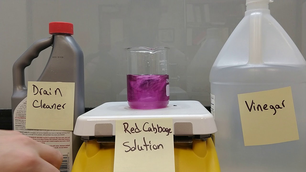Red cabbage indicator and vinegar and drain cleaner - YouTube