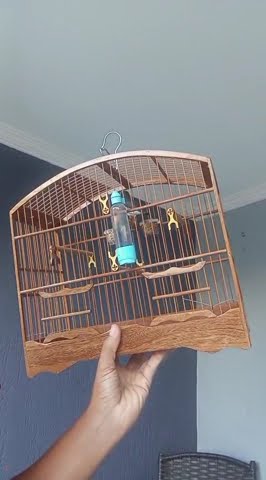 Felipe do coleiro#açoite top #manejo - YouTube