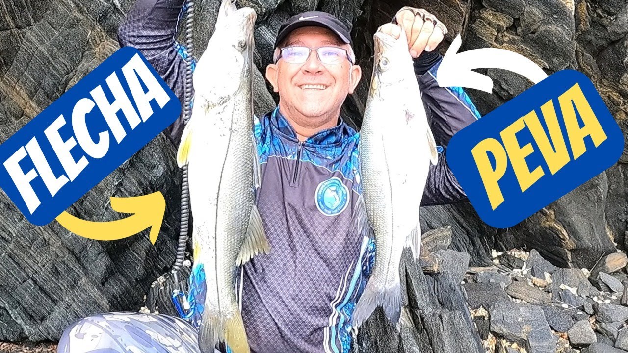 ROBALÃO!! Robalo flecha e robalo peva no jig head (camarão artificial ...