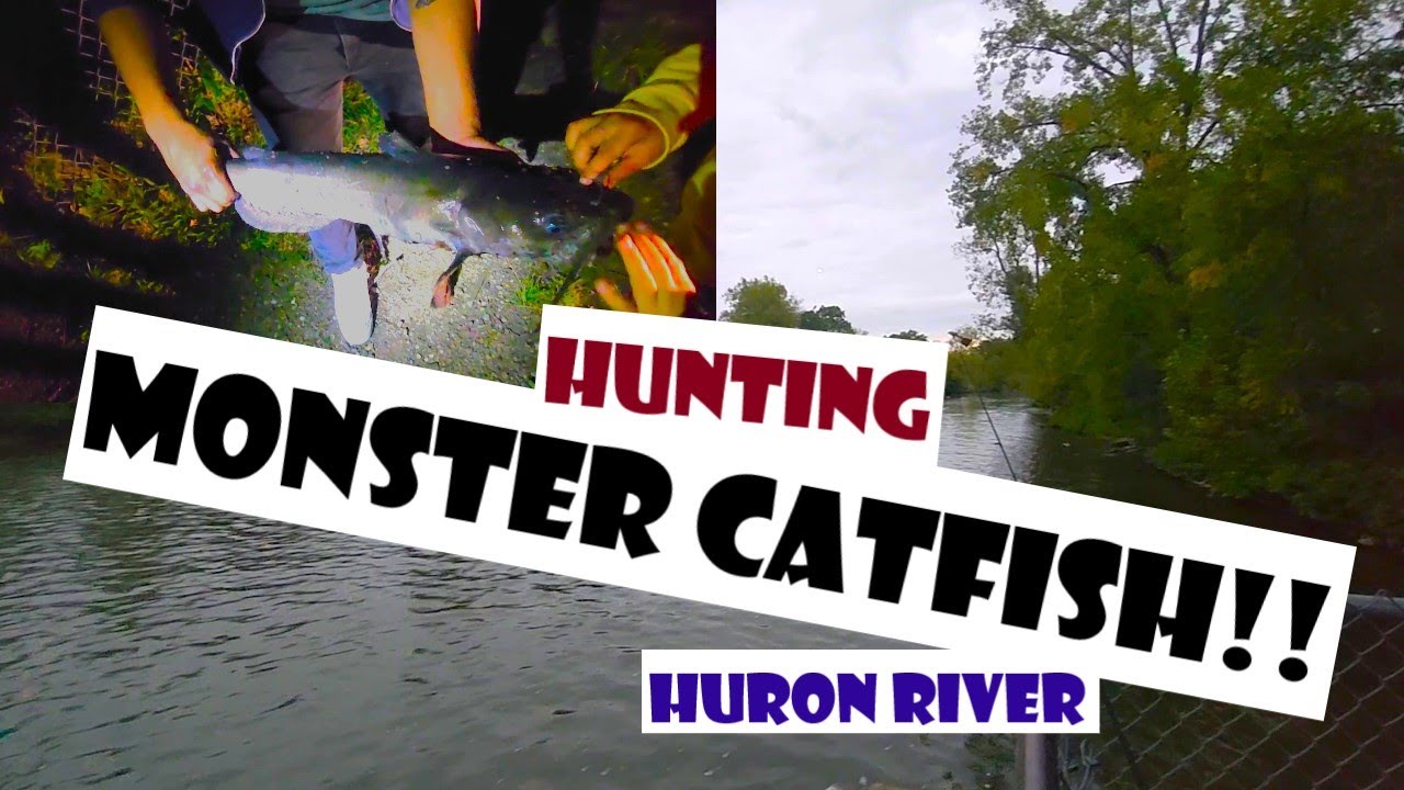 FISHING FOR MONSTER CATFISH on the Huron RIVER!! - YouTube