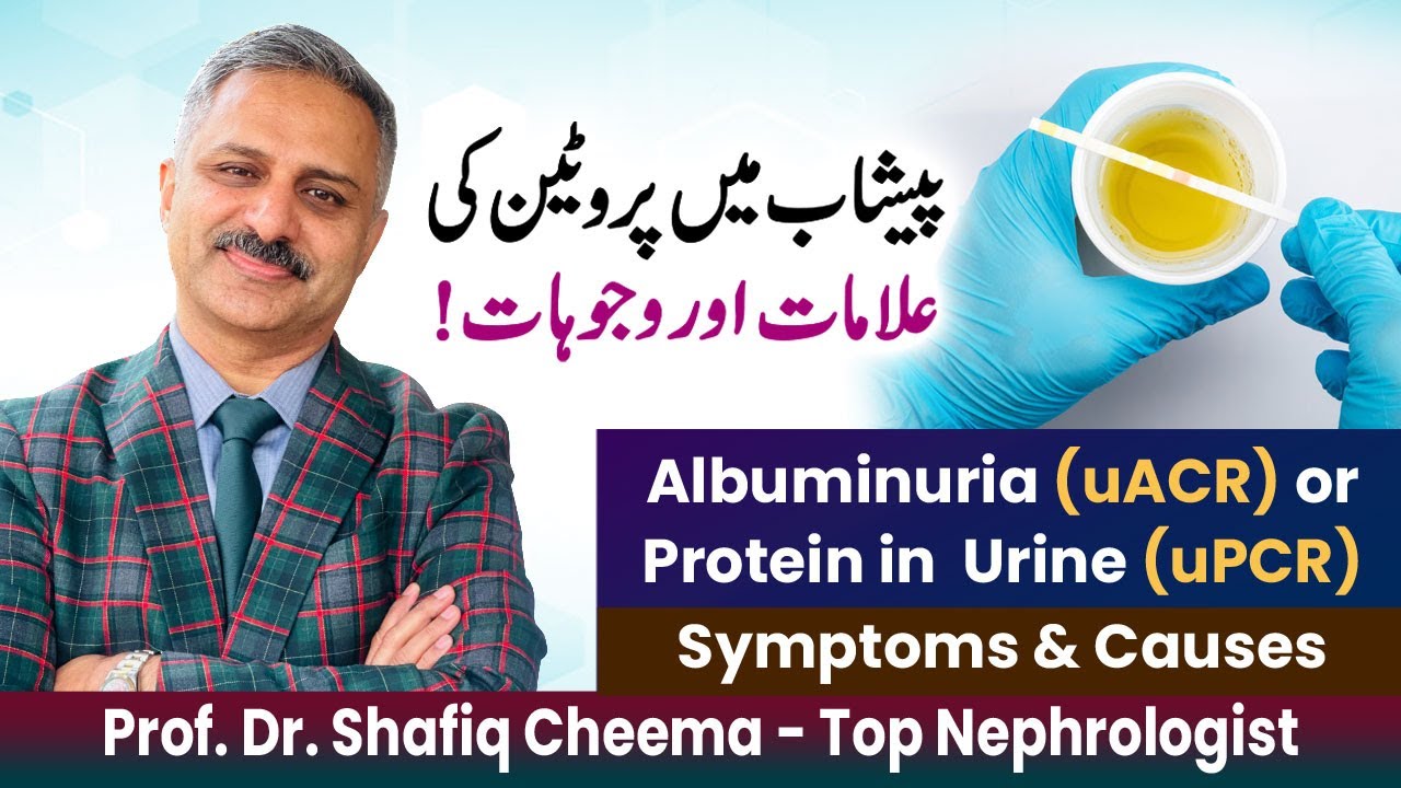 Albuminuria Video 1 : Albuminuria uACR or Protein in Urine uPCR ...