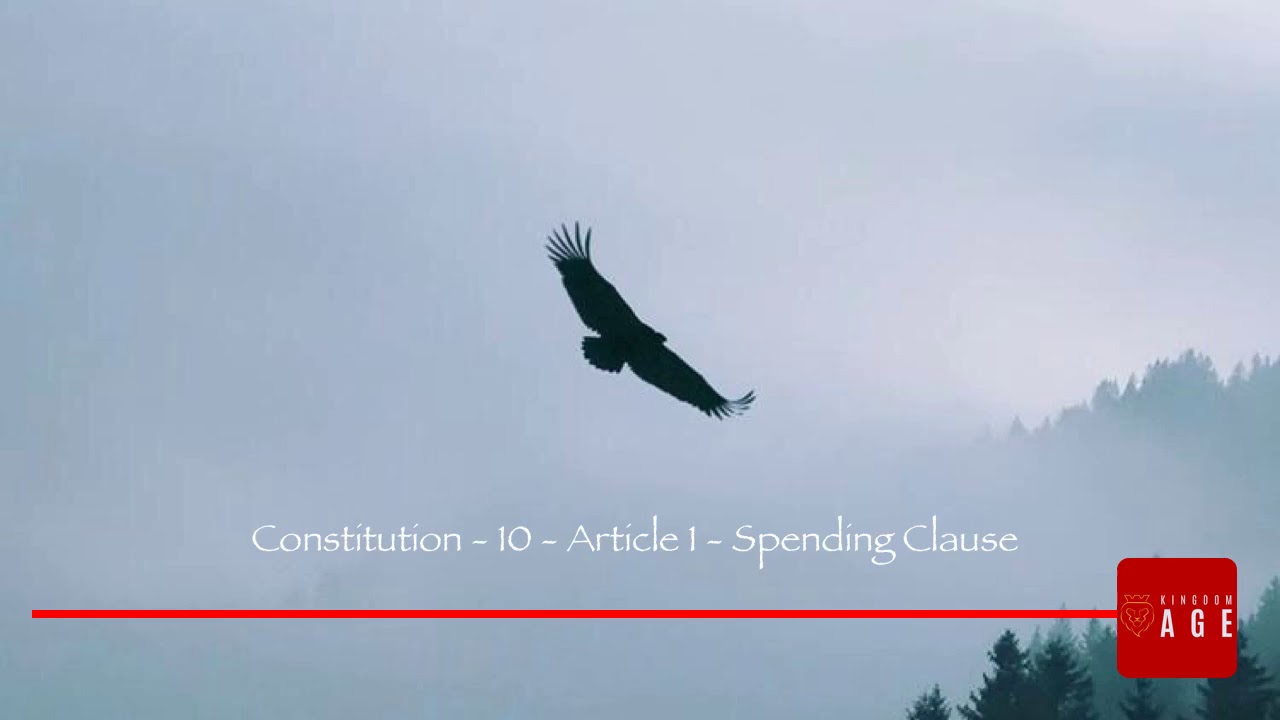 Constitution - 10 - Article 1 - Spending Clause - YouTube