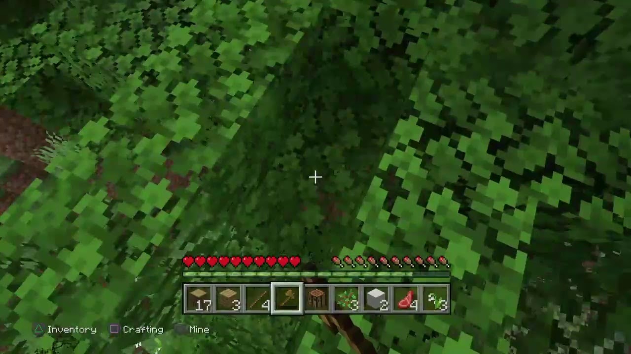 Minecraft new world survival - YouTube