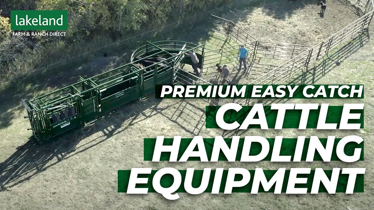 Premium Easy Catch Cattle Handling Equipment | Cattle Ranching Has ...