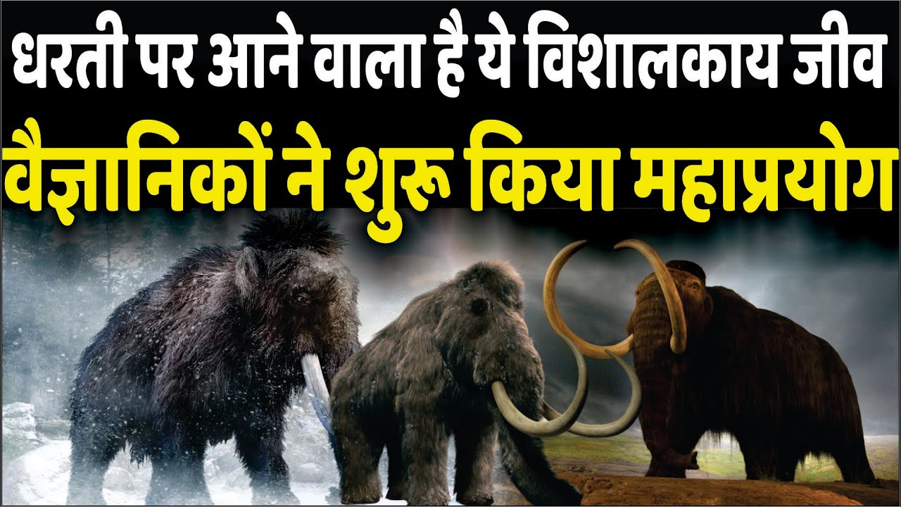 क्या धरती पर फिर मंडराने वाले हैं महाविनाशक जानवर | Wooly Mammoth ...