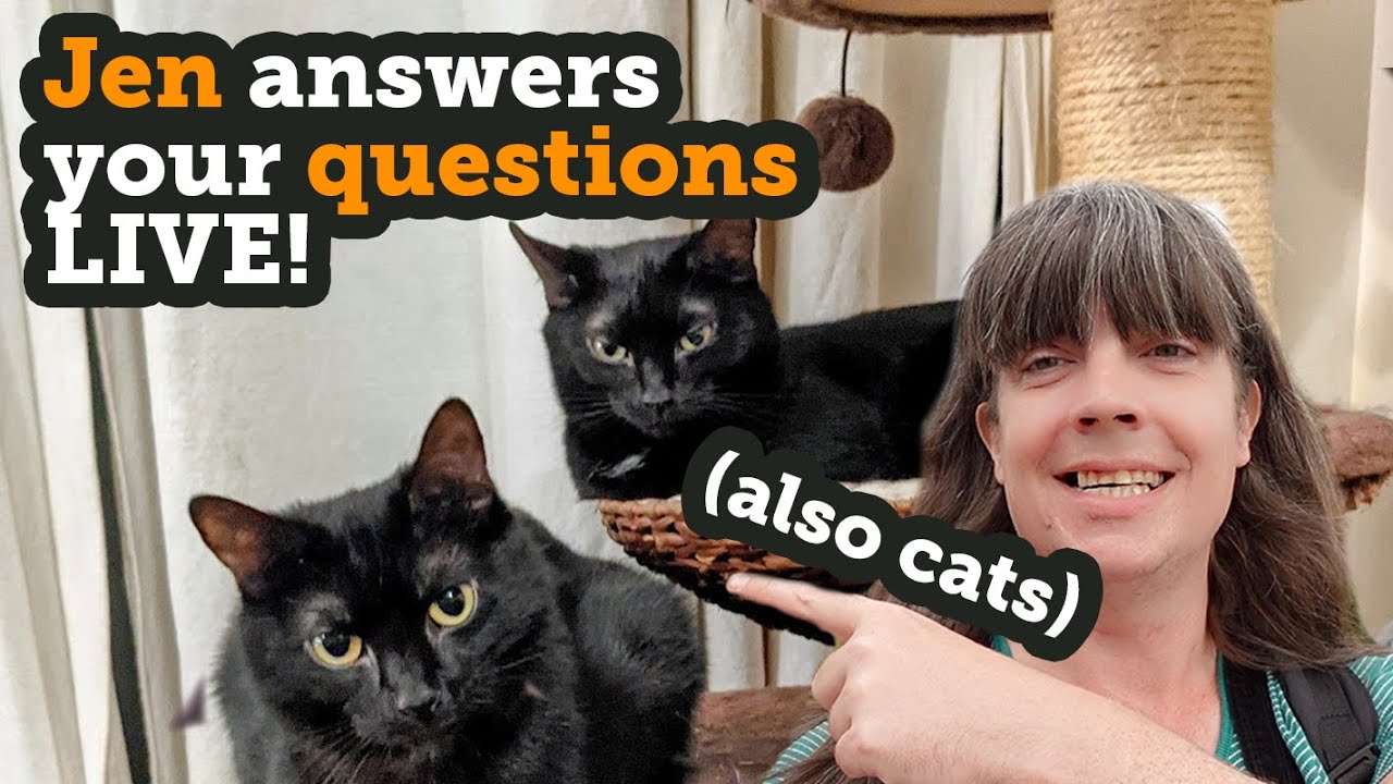Jen Answers Your Questions Live (and shows you her cats!) - YouTube