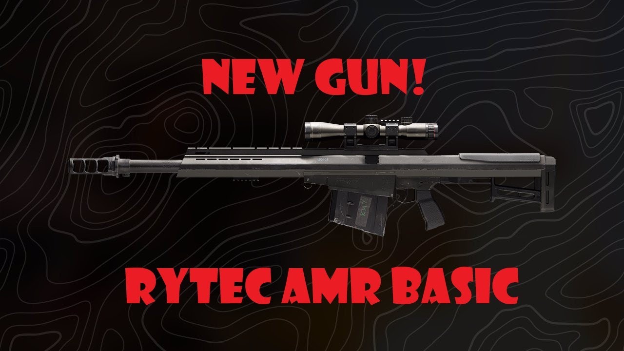 The New Rytec AMR!! Basic Vs. Custom build (Call of Duty: Modern ...