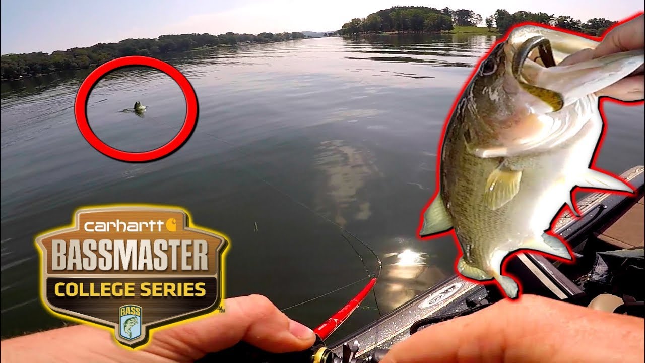 2019 College Fishing National Championship (We Found the Big Ones ...