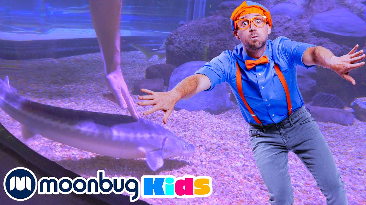 Blippi Visits an Aquarium | BEST OF @Blippi | Explore With Me! - YouTube