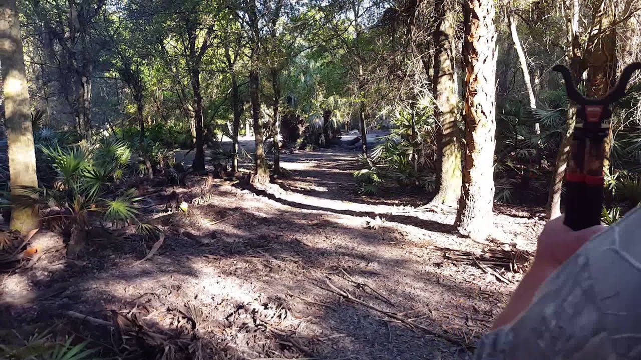 Razzor Ranch Florida Spot and Stock - YouTube