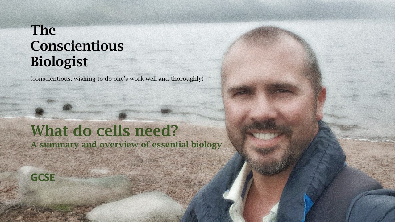 What do cells need? A summary and overview of essential biology - YouTube