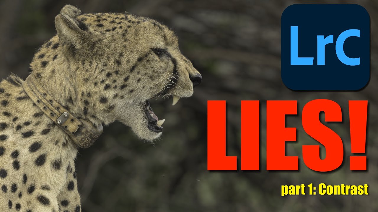 Lightroom Lies: Taming Contrast Defaults and Remove Lightroom HIDDEN ...