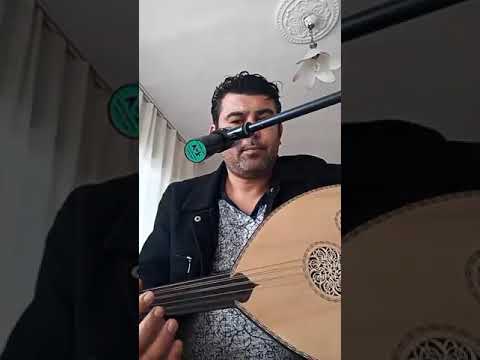 yanlızım dostlarim ud