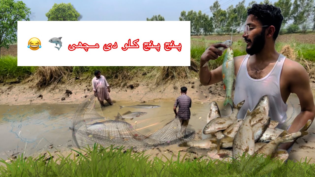 Pehli Dafa Chamkira Fish Ka Shikar kiya 🐟🐠🐬🐳 #fish #fishing # ...