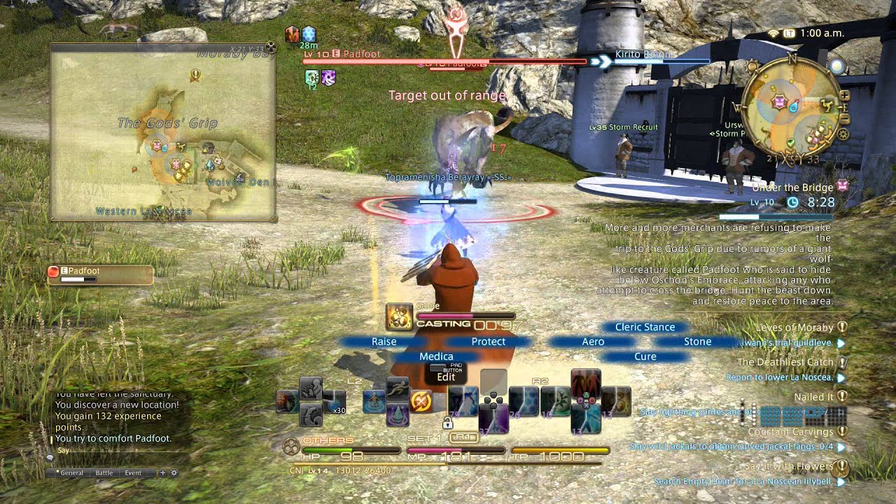 The Company You Keep! Final Fantasy XIV: A Realm Reborn Gameplay ...