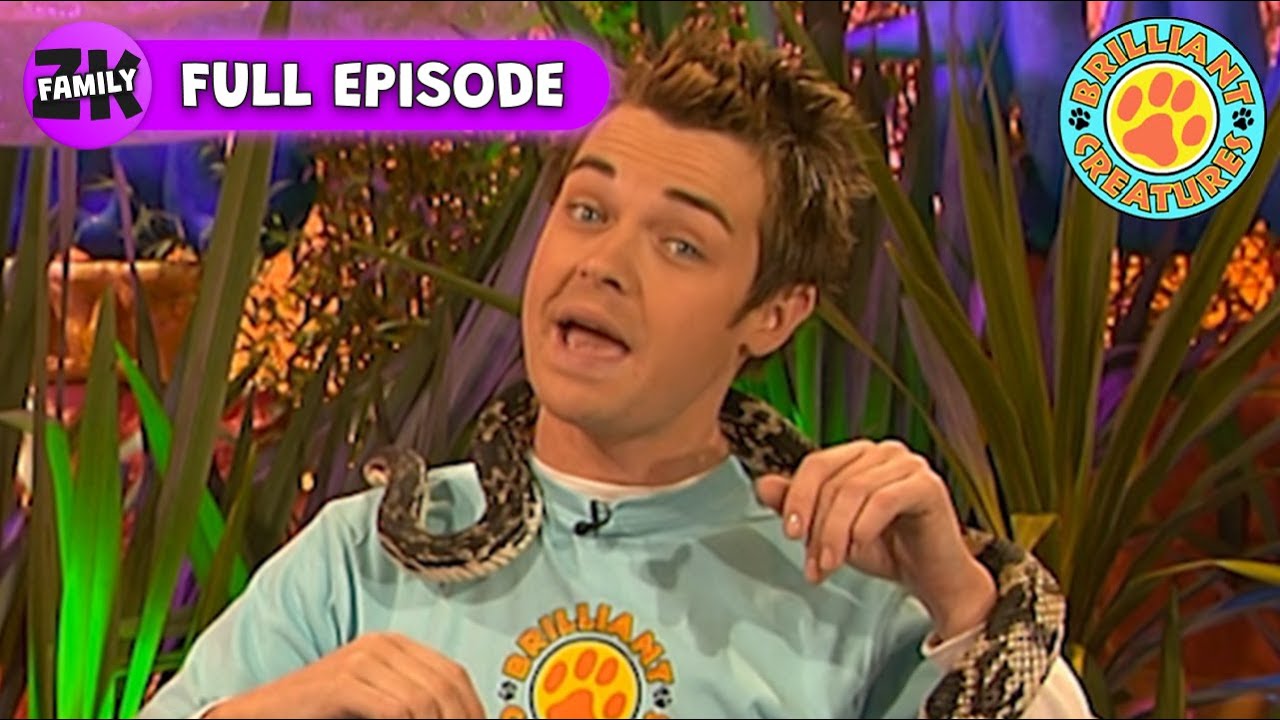 Brilliant Creatures | Full Episode | Season 6, Episode 8 | ZeeKay ...