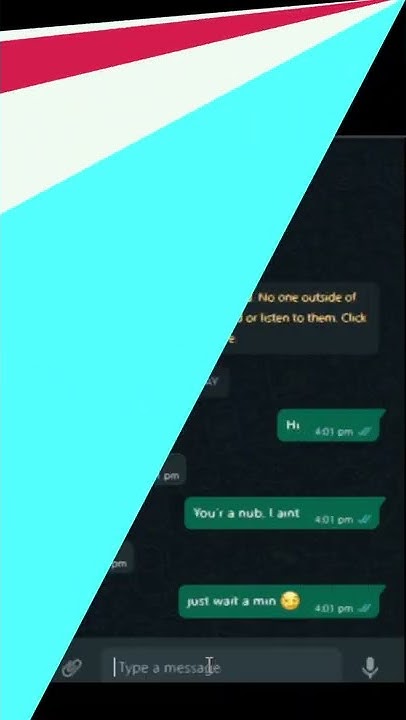 How To Send Whatsapp Messages On Python Hack Whatsapp Using Python Shorts Python Youtube 9755