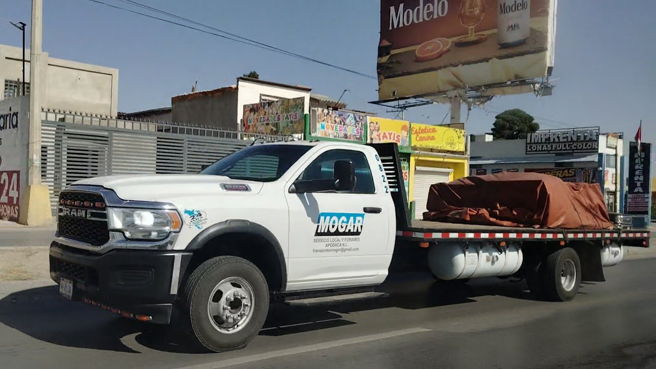 Transportes Mogar - YouTube