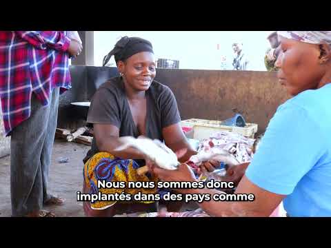 Gambia pilot project and quick impact project