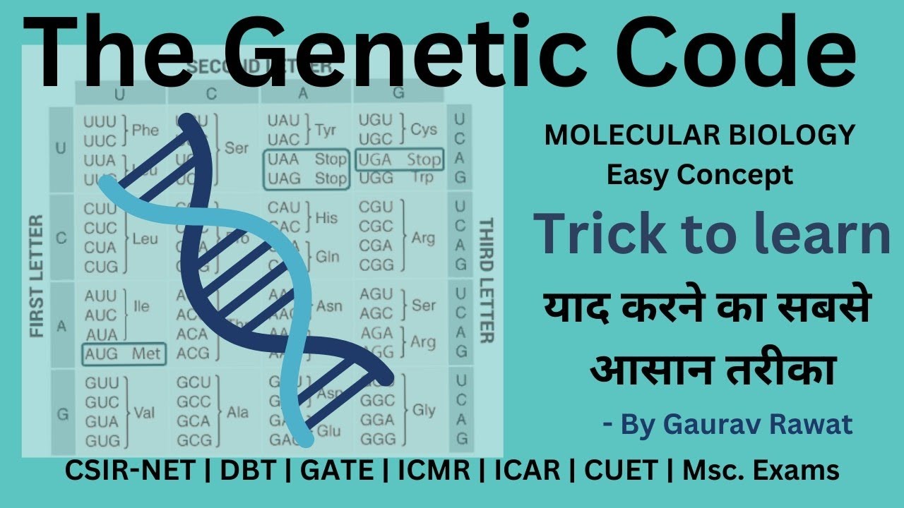 Molecular Biology Quick Revision | GENETIC CODE | Simple trick to learn ...