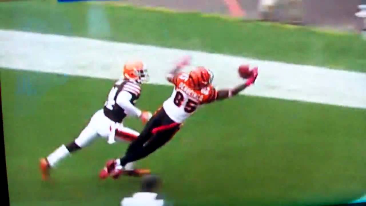 chad ocho cinco makes one handed catch - YouTube