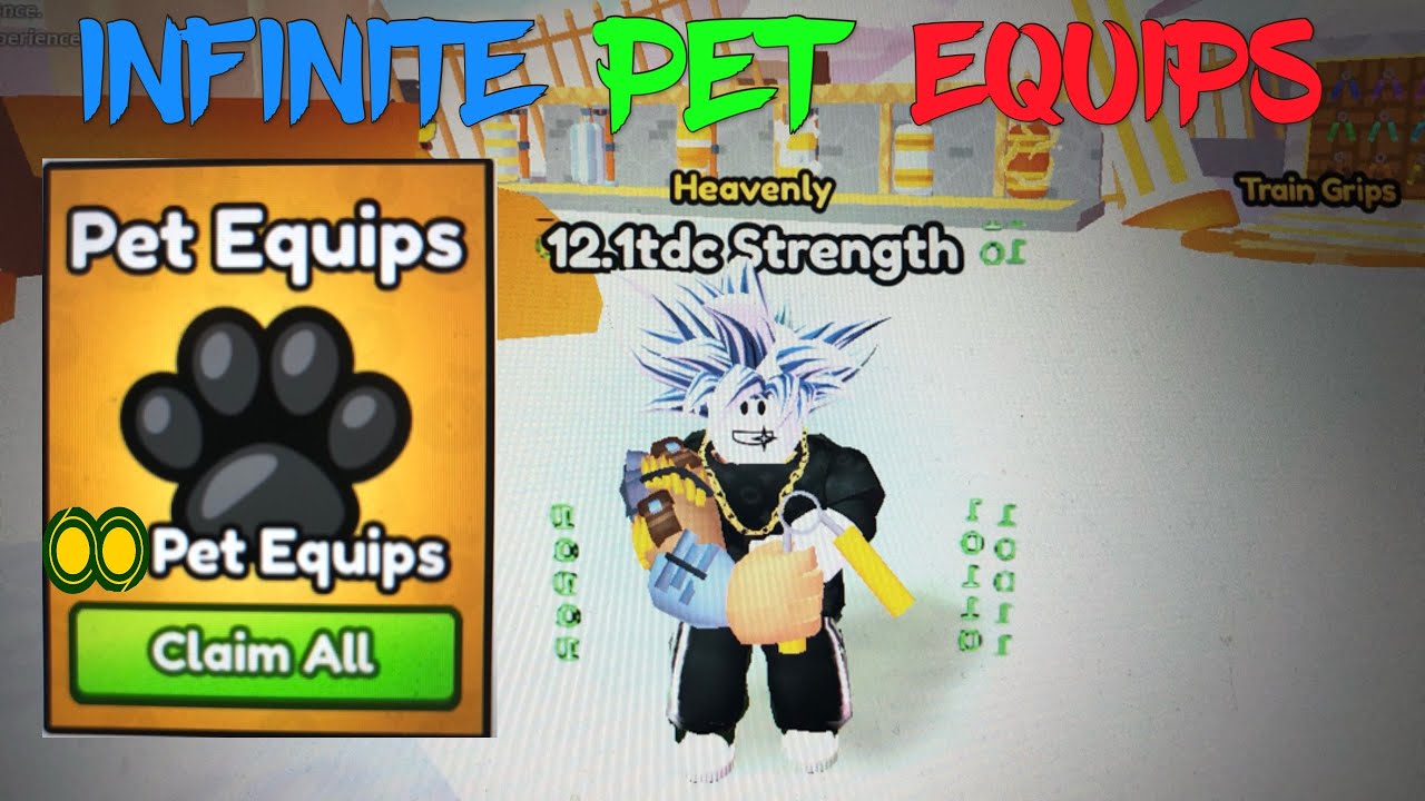 INFINITE Pet Equips and MATRIX AURA! - YouTube