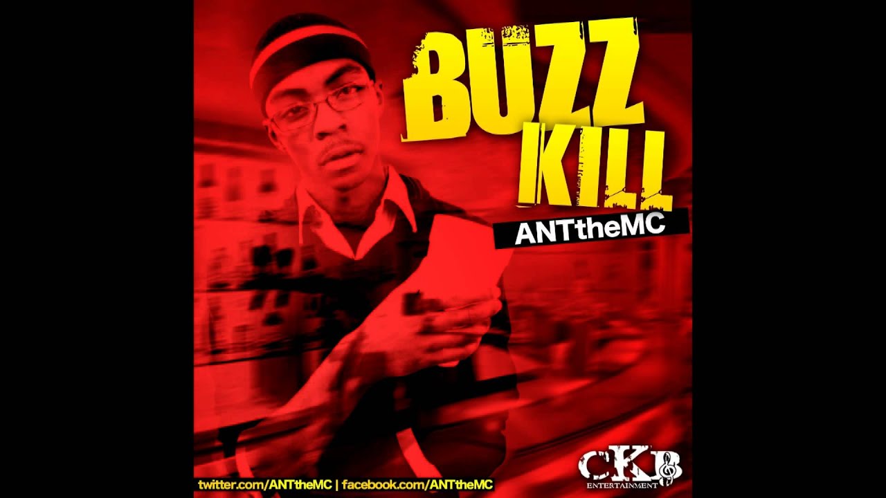 "Buzz Kill" - ANTtheMC - YouTube
