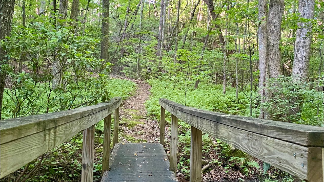 Blue Loop @ Big Canoe, Georgia (Wildcat Park). Final hike of Official ...