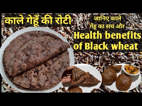 Black Roti/Black Wheat benefits/काले गेहुं की रोटी/black wheat - YouTube