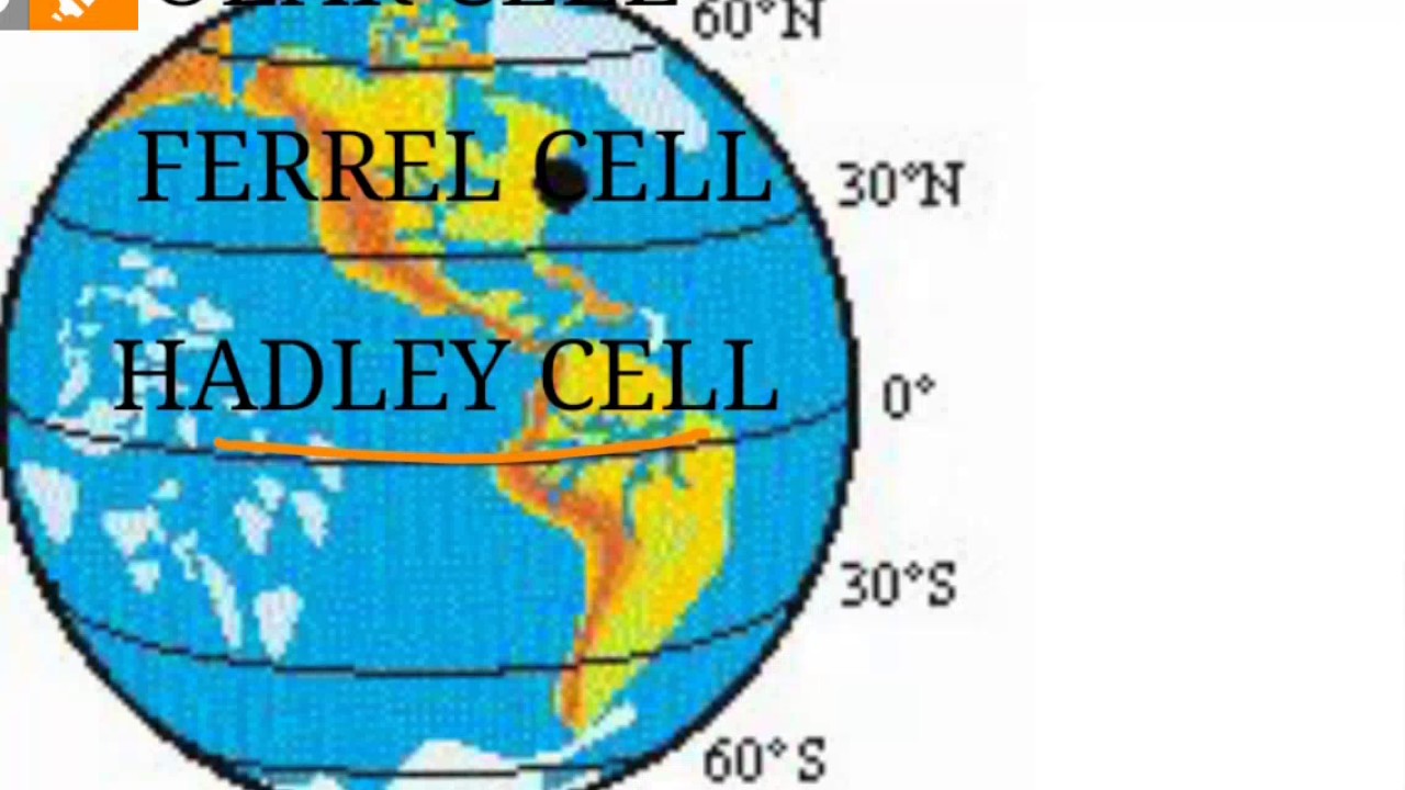 HADLEY CELL FERREL CELL AND POLAR CELL YouTube hadley-cell-ferrel-cell-and-polar-cell-youtube