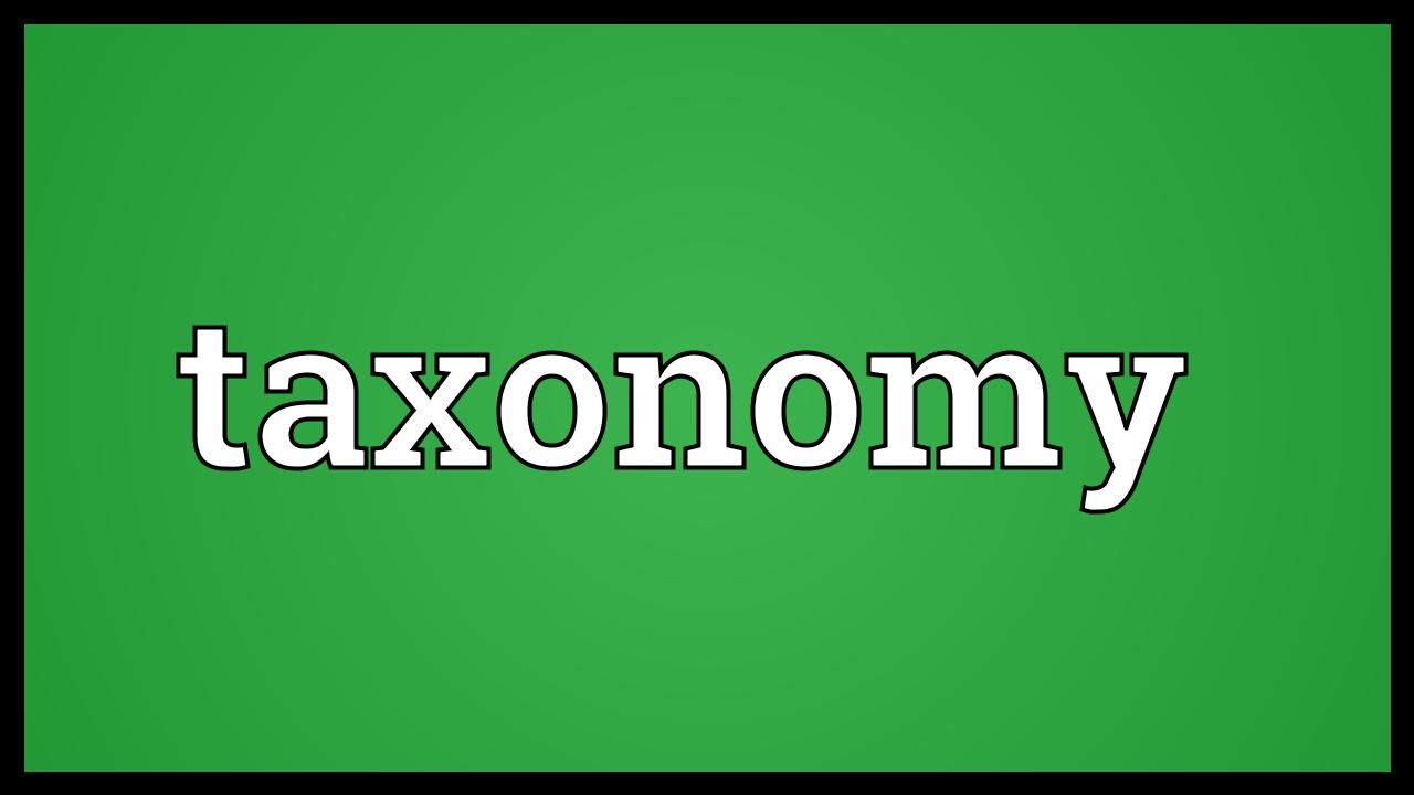 Taxonomy Meaning - YouTube
