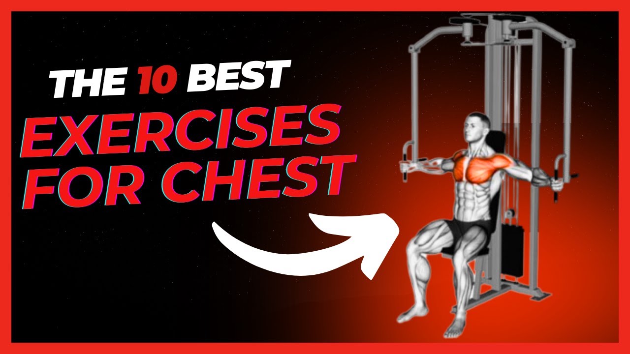 CHEST TRAINING - The 10 BEST CHEST EXERCISES - YouTube