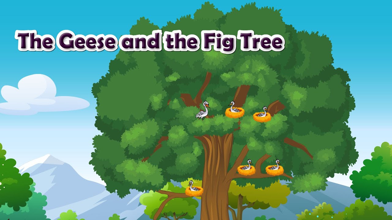 The Geese and the Fig Tree | Moral Book | Class 5 - YouTube