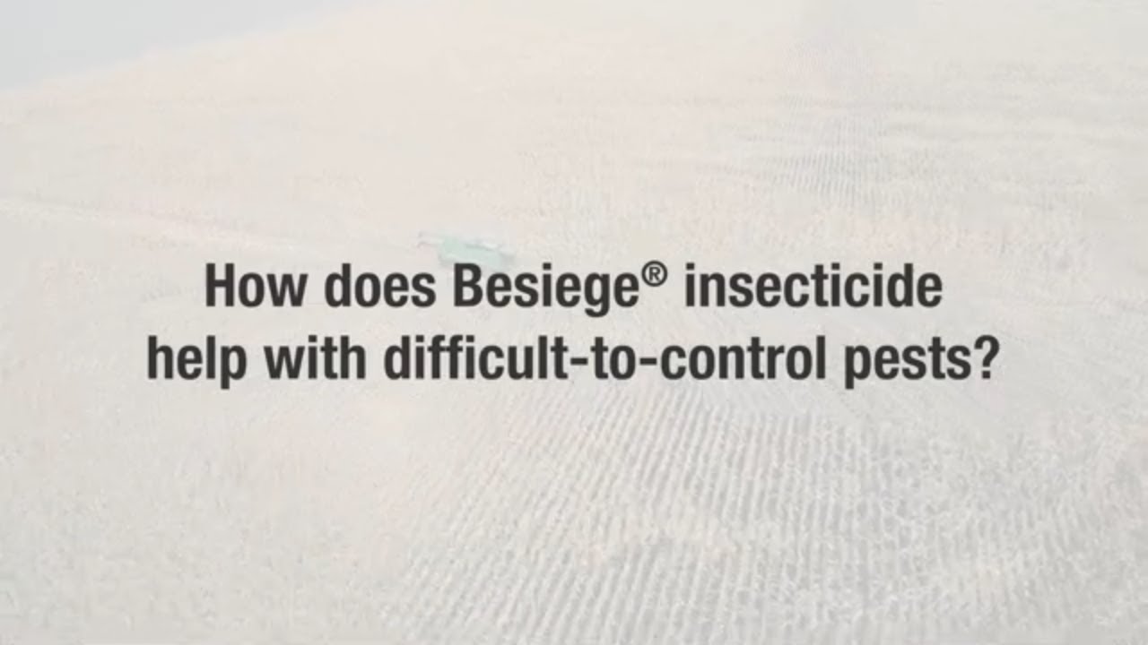 Manage Lepidopteran Pests with Besiege Insecticide - YouTube